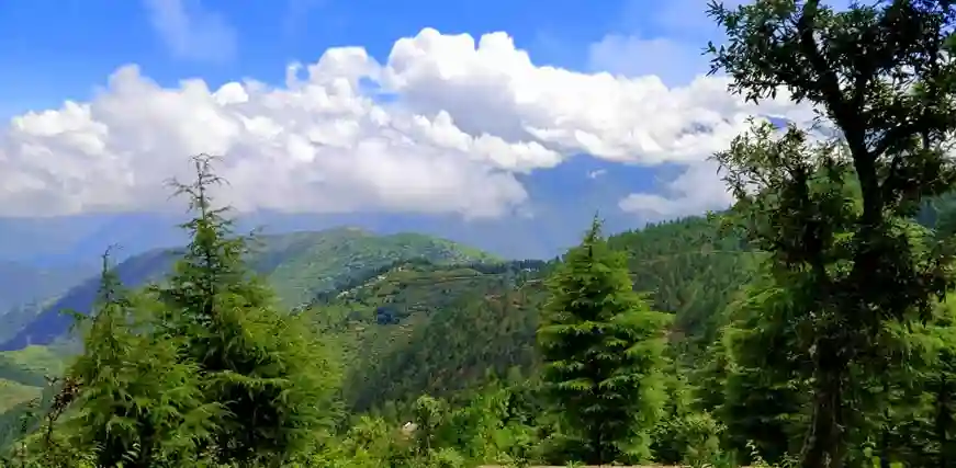 Royal Collection Hotels & Resorts